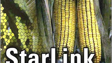 StarLink Blamed For Sickness - CBS News