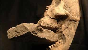 Remains Of "Vampire" Found Near Venice - CBS News