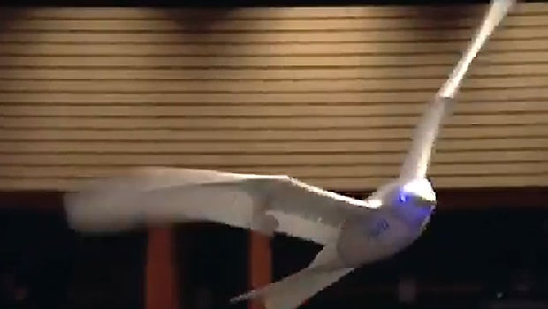 It's a bird, it's a plane, it's...a robot that flies like a bird? - CBS ...