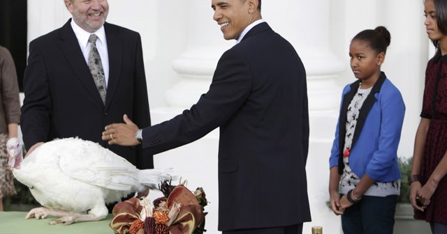 Behind the scenes with the presidentially pardoned turkey - CBS News