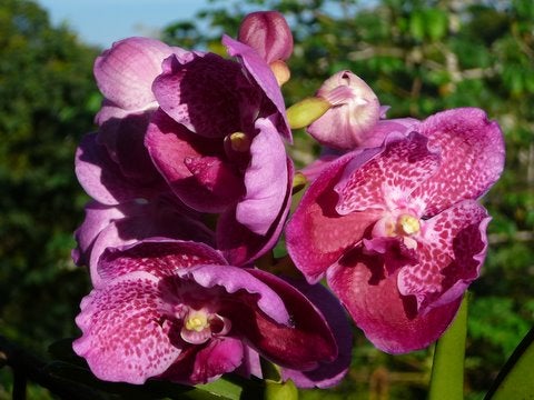 John and Ann Bender's life in paradise - CBS News