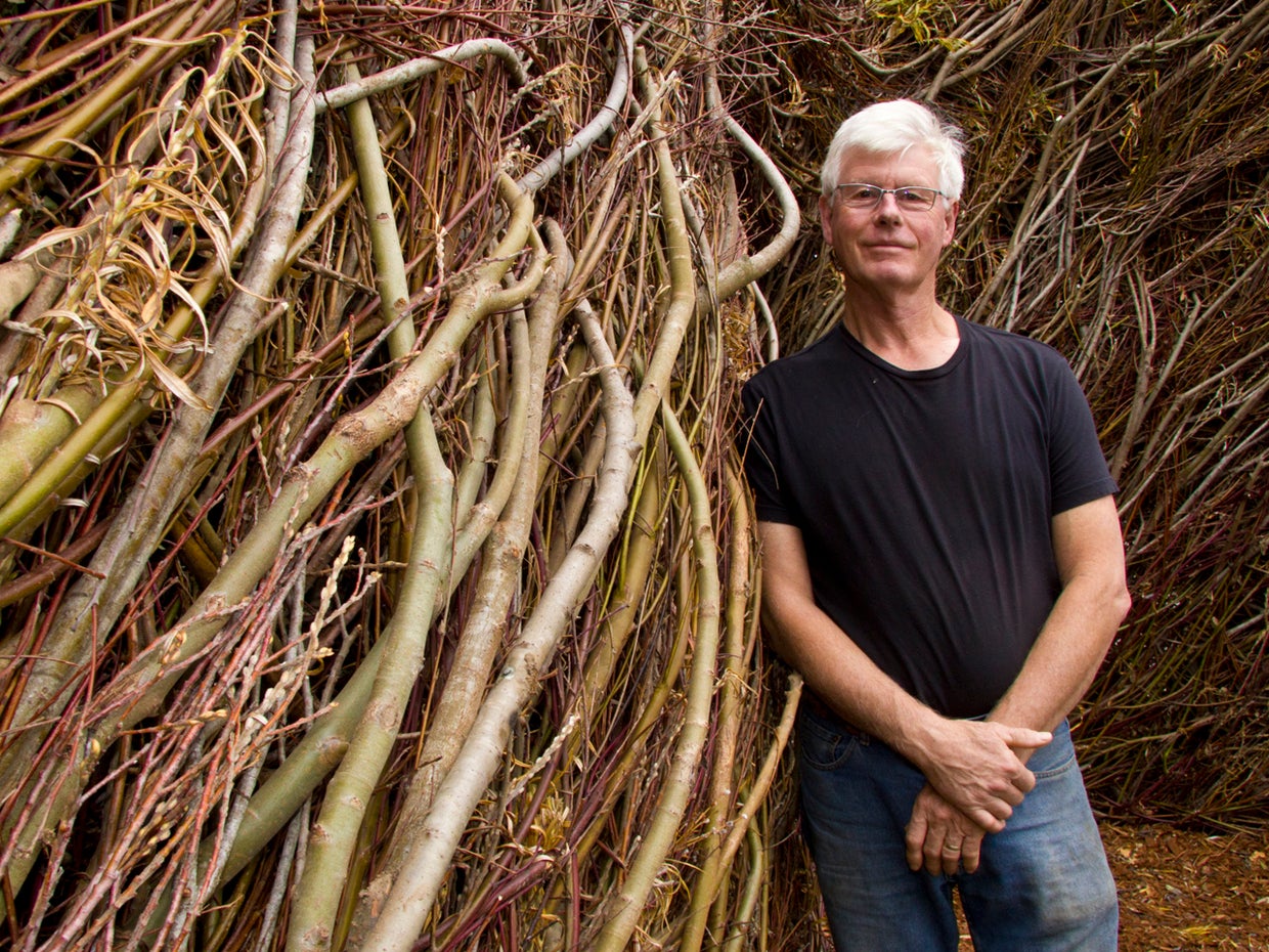 Patrick Dougherty's giant stick sculptures