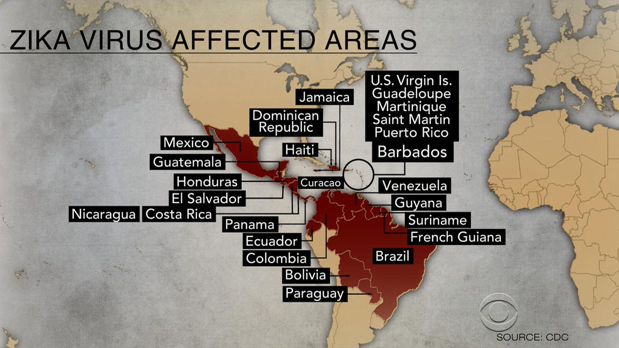 20 alarming facts about the Zika virus - CBS News