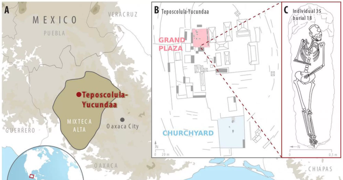Scientists may have solved 500-year-old mystery of massive epidemic in ...