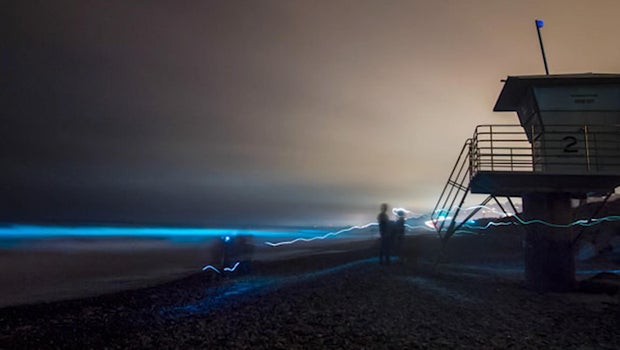 Bioluminescence from red tide: Algae bloom literally lighting up San ...