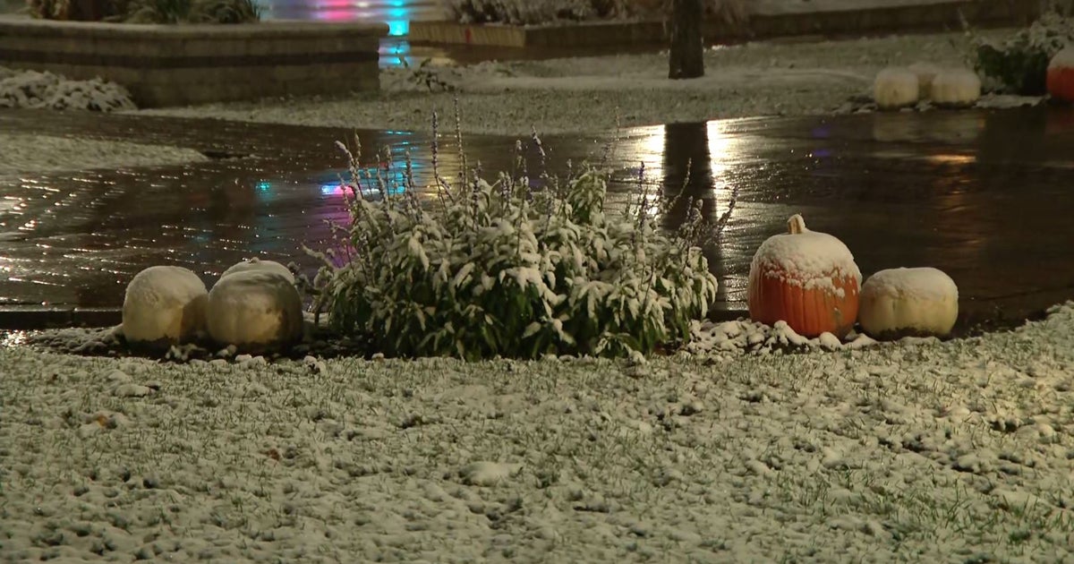 First Measurable Snowfall of the Season Arrives - CBS Chicago