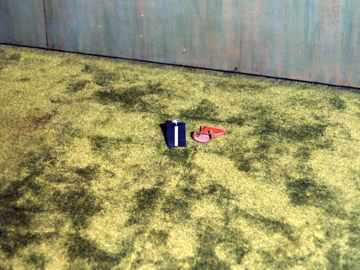 Chino Hills massacre: Evidence photos in the Kevin Cooper case