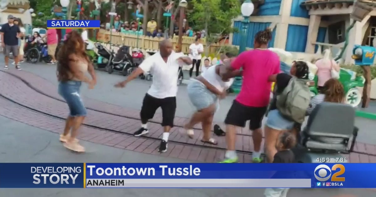 WATCH: Families Visiting Disneyland Attempt To Break Up Family Brawl In ...