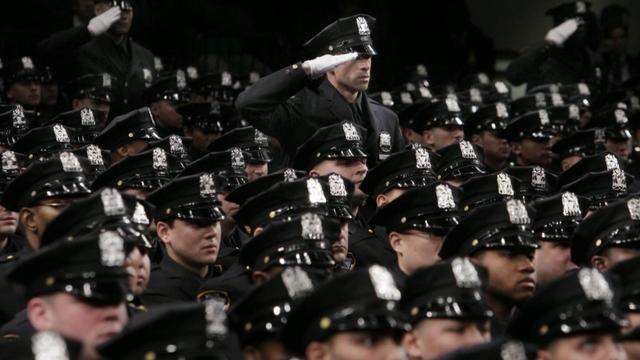 Sharks could one day help scientists predict tropical storms - CBS News