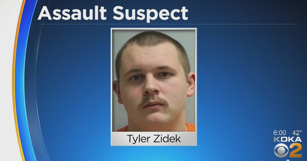 'He Picked Her Up By The Neck And Body-Slammed Her To The Ground': 22 ...