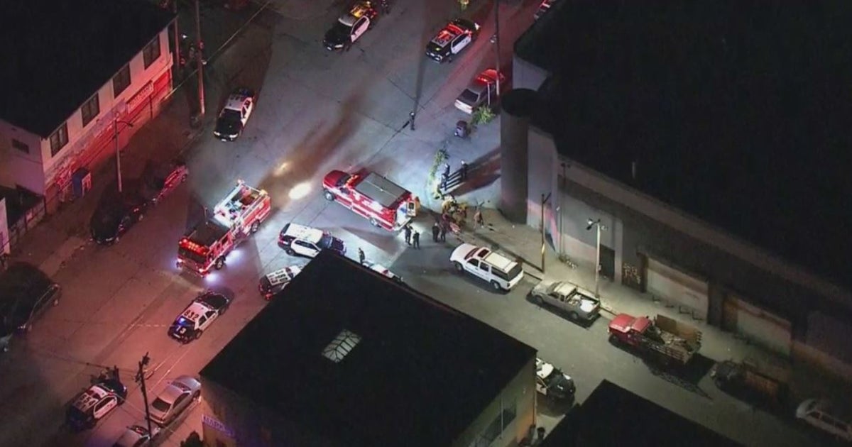 Suspect Shot, Killed By LAPD Following Chase In South LA; 2 Others ...