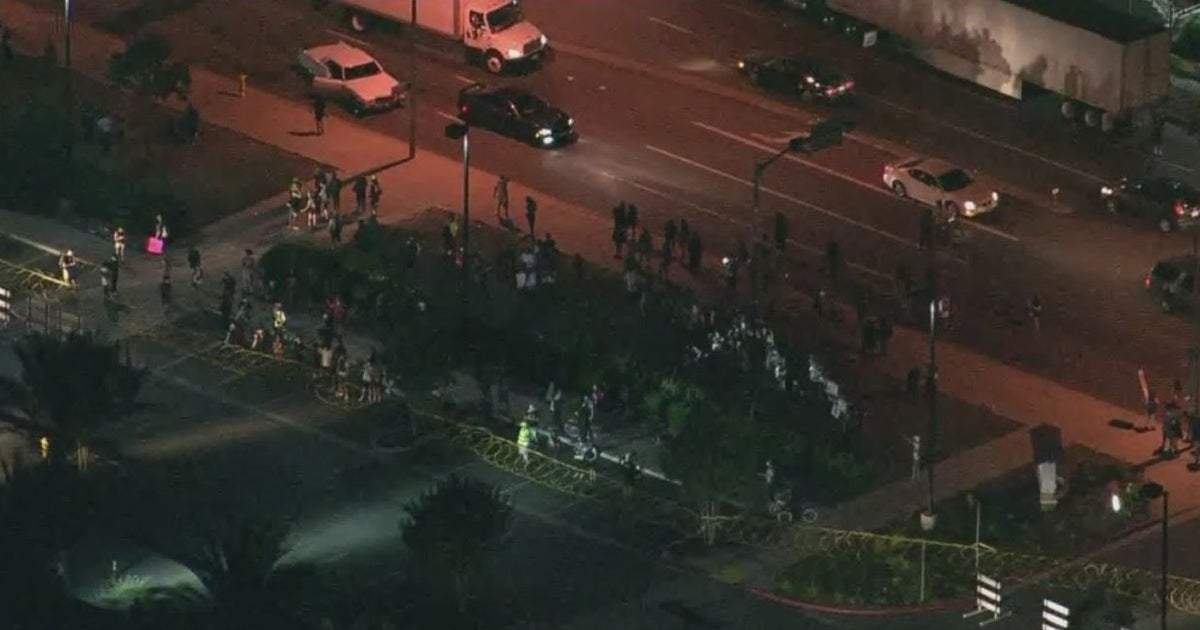 12 Demonstrators Arrested After 'Chunks Of Concrete, Bricks' Thrown At ...