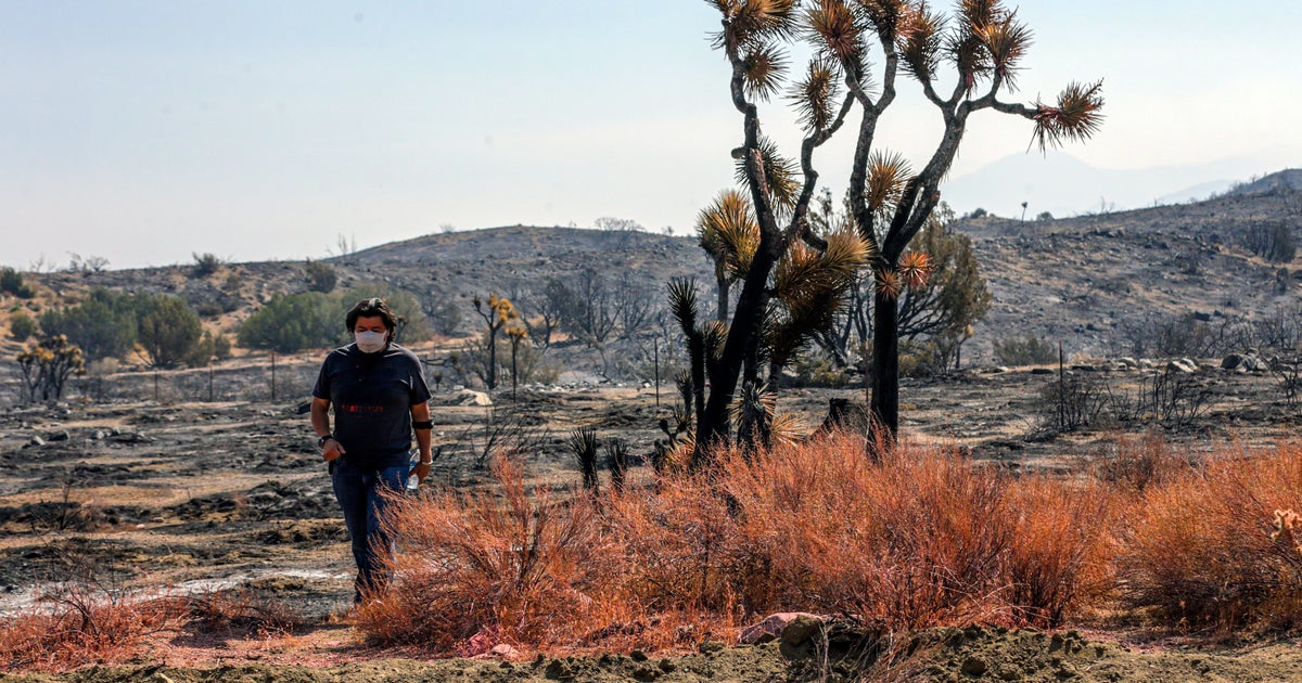 Increasing Containment For Bobcat Fire Leads To Updated Evacuation ...
