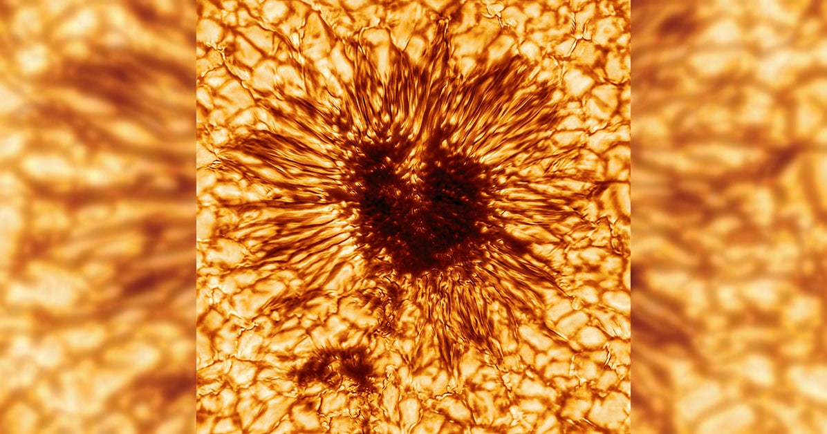 "Unprecedented" image captures sunspot large enough to fit Earth inside ...
