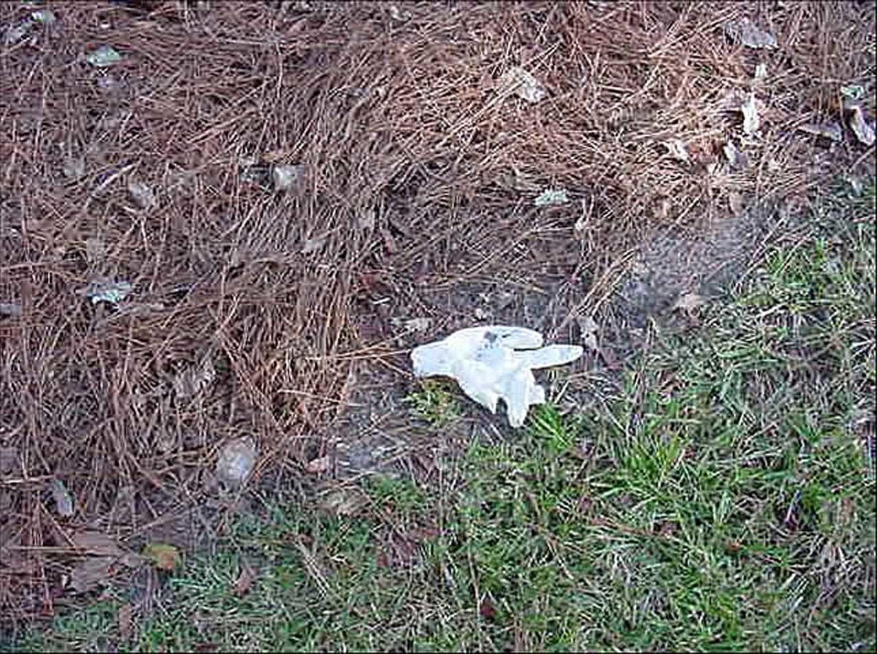 What happened to Tara Grinstead?