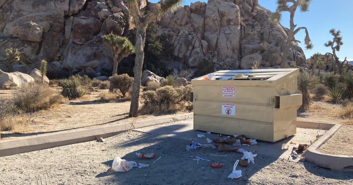 Joshua Tree National Park Expecting Big Spring Break Crowds - CBS Los ...