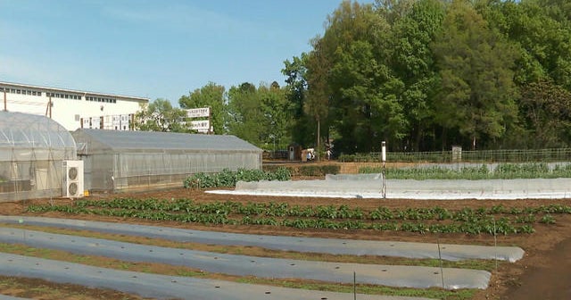 Japanese waste disposal company transitions into recycling and ...