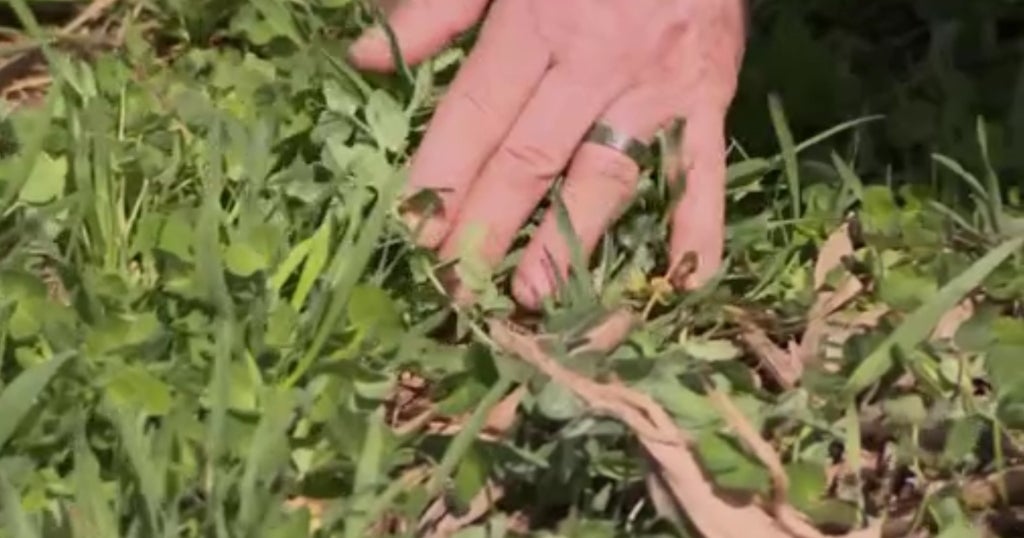 Farmers Adopt 'Climate Smart' Techniques To Improve Productivity: 'The ...