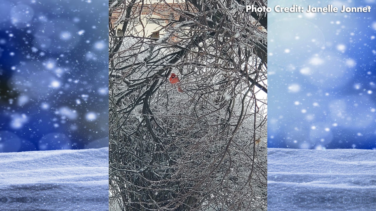 Fernando and Greg Hosts 'The Addams Family Marathon'