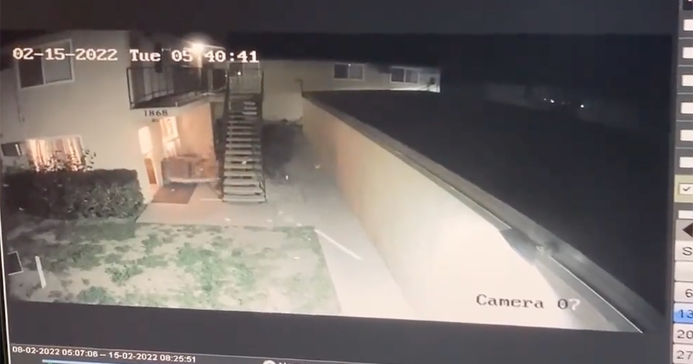 Jason Ward Arrested After Sustaining Burns In Alleged Honey Oil Lab ...